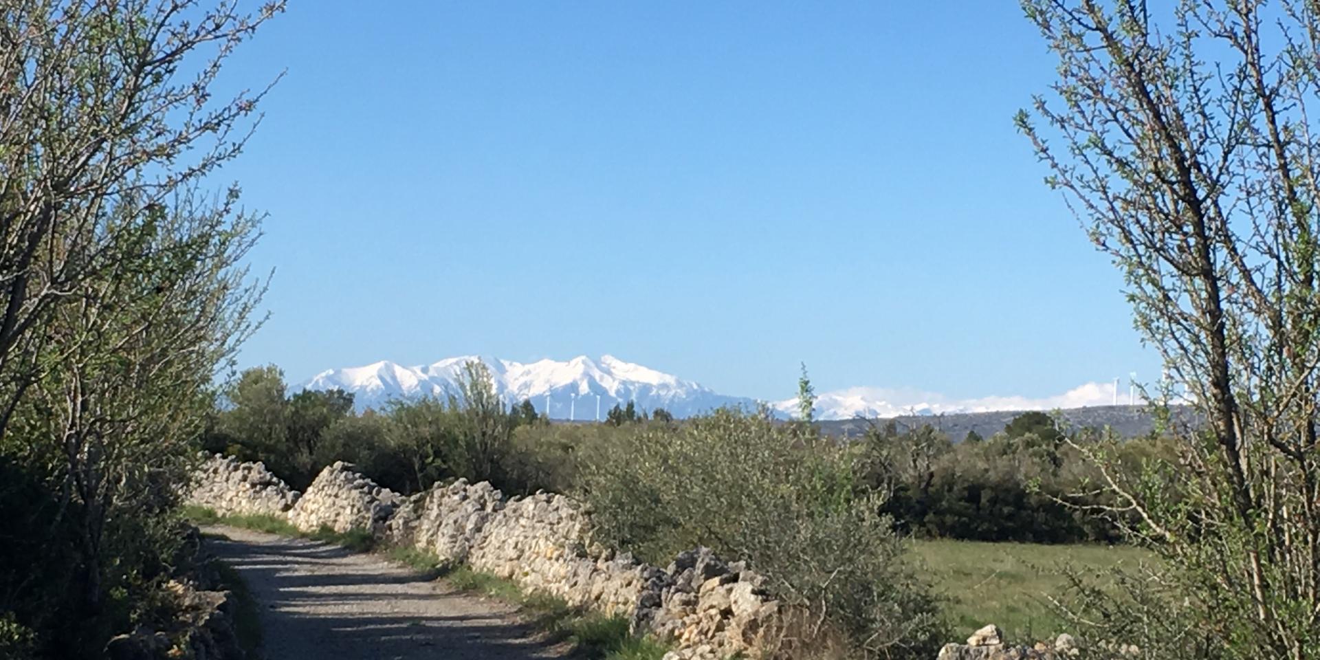 Leucate Village | Leucate Tourist Office