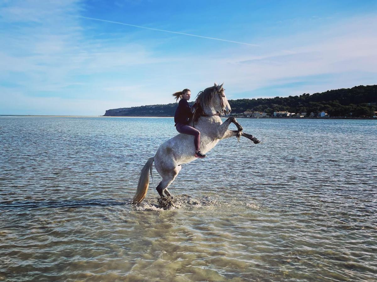 La Franqui | Office de Tourisme de Leucate